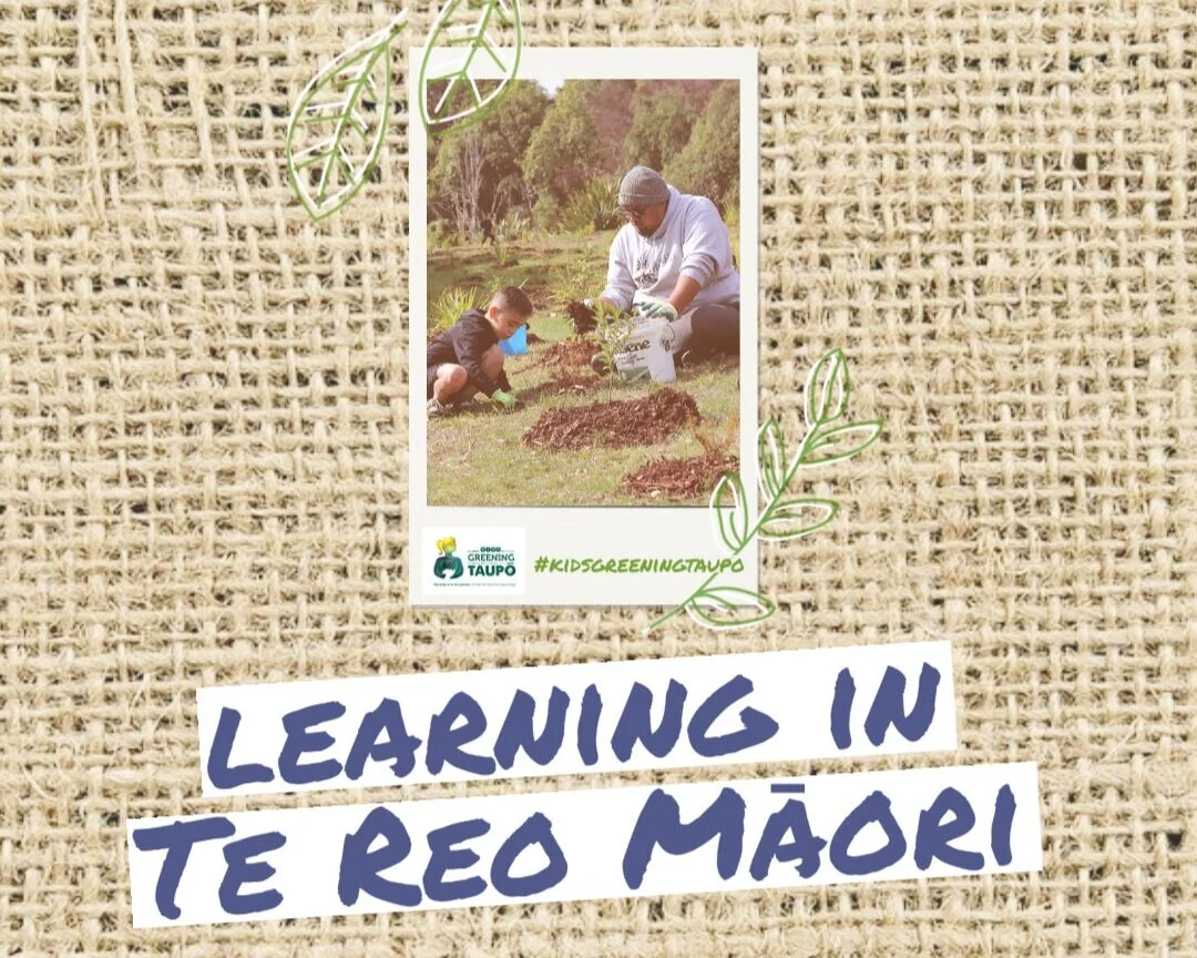 Te Reo Māori — Kids Greening Taupō | Learning Through Nature