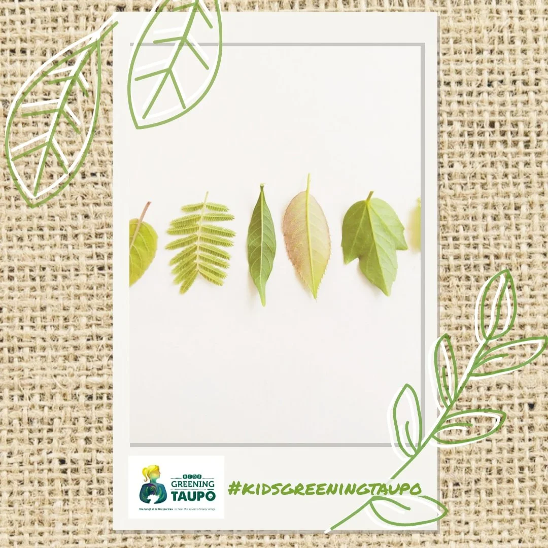 Nature Scavenger Hunts — Kids Greening Taupō | Learning Through Nature