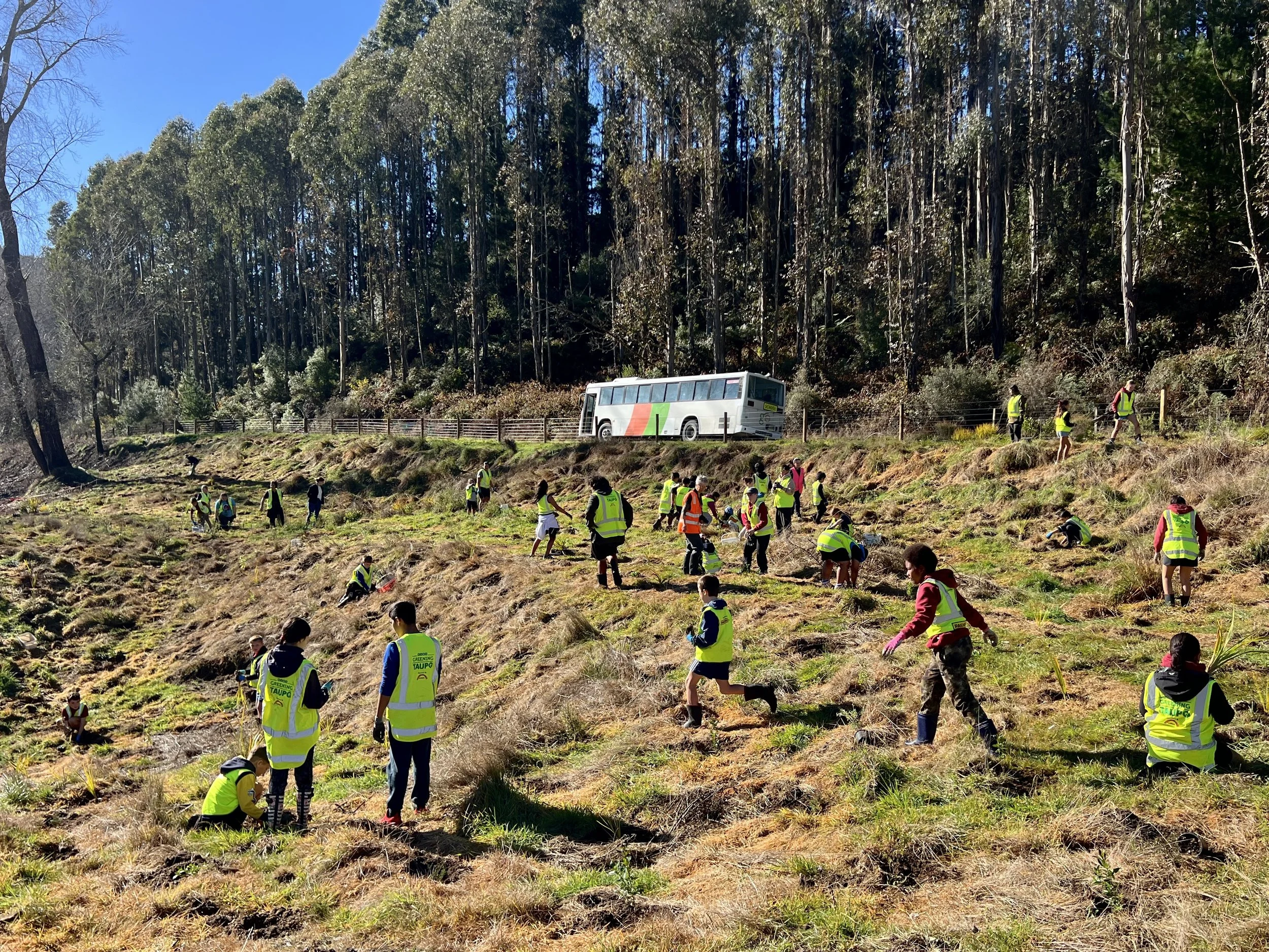 Miraka-Tūaropaki Riparian Planting Event — Kids Greening Taupō | Learning Through Nature