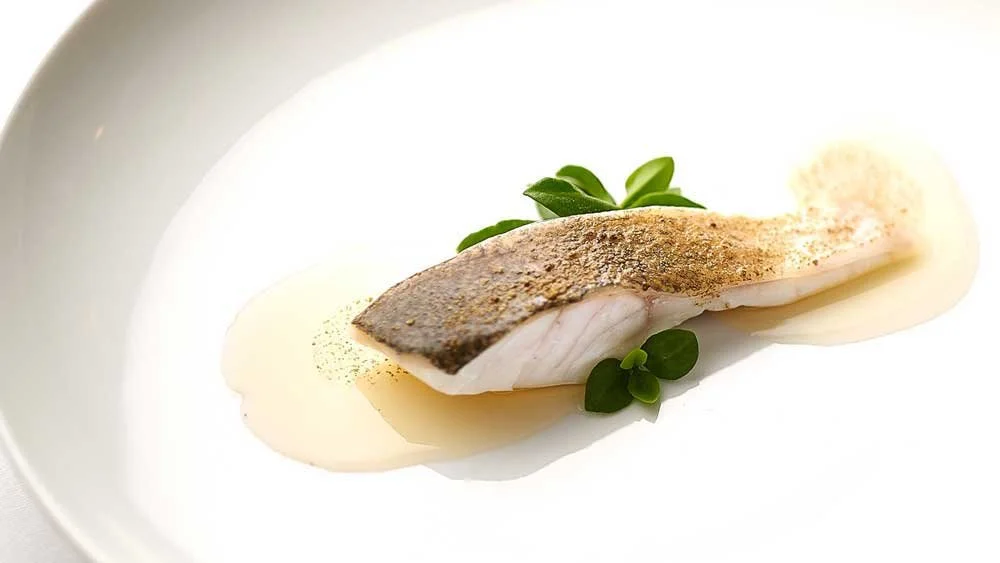 Buy Murray Cod, Silver Perch and Golden Perch — Uarah Fisheries, the ...