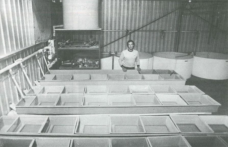 About us — Uarah Fisheries, the first Murray cod farm