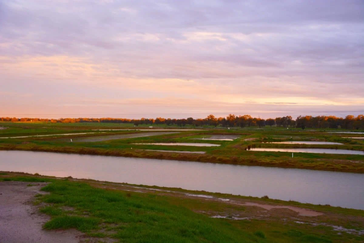 About us — Uarah Fisheries, the first Murray cod farm