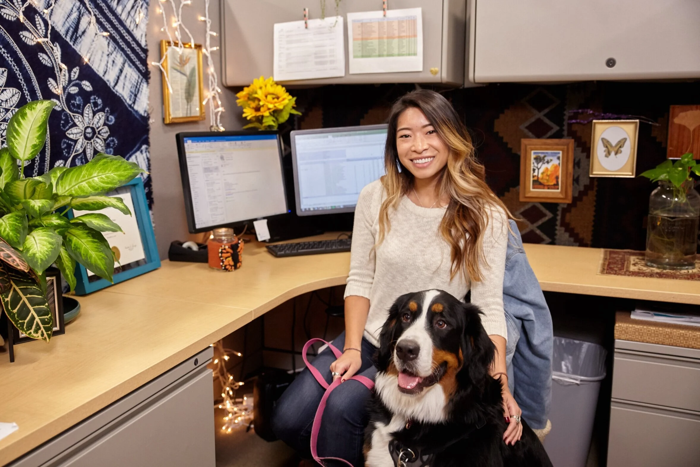 Careers — EventNetwork