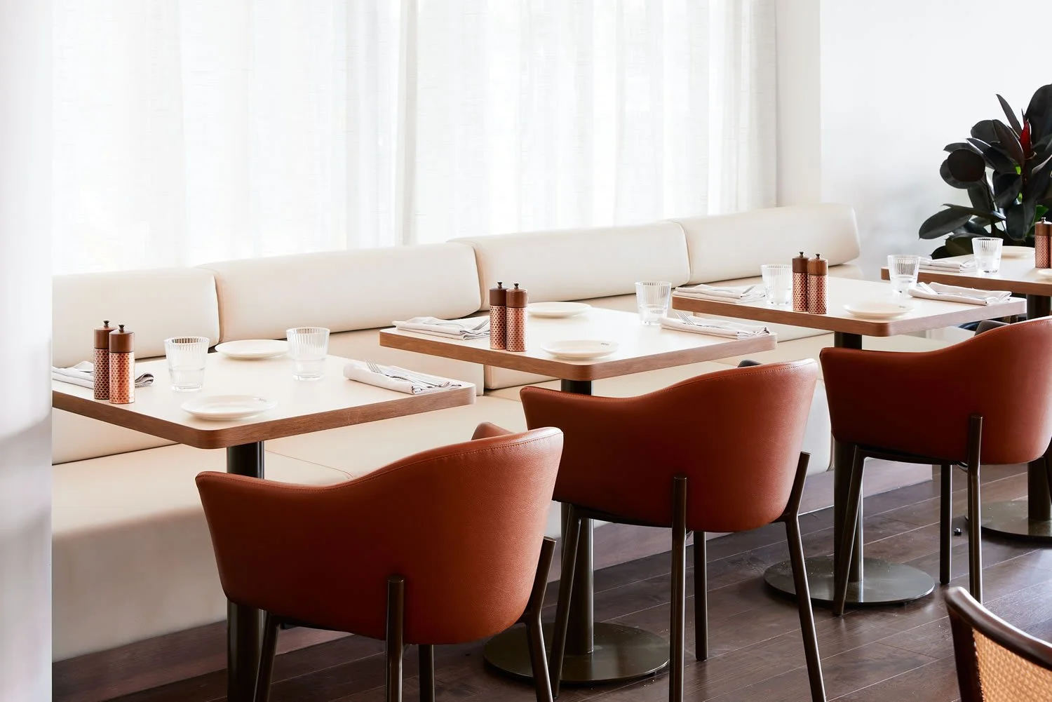 Gallery | Discover & Experience Now — Tempo Kitchen & Bar