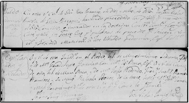 The Surname Ledesma in Mexico — Indigenous Mexico