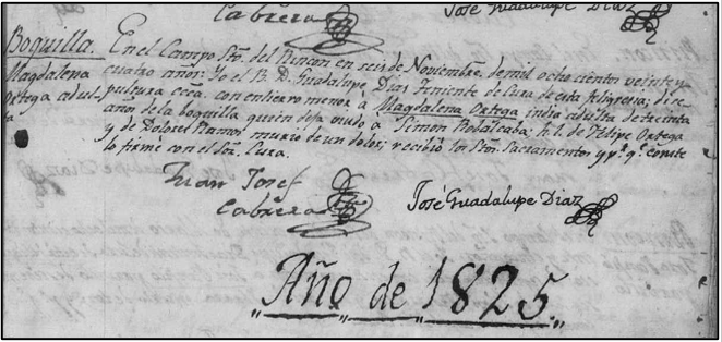 The Ruvalcaba Lineage Report — Indigenous Mexico