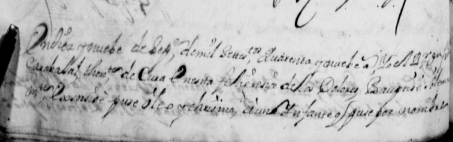 Tracing Indigenous Guanajuato Roots: A Lineage Report — Indigenous Mexico