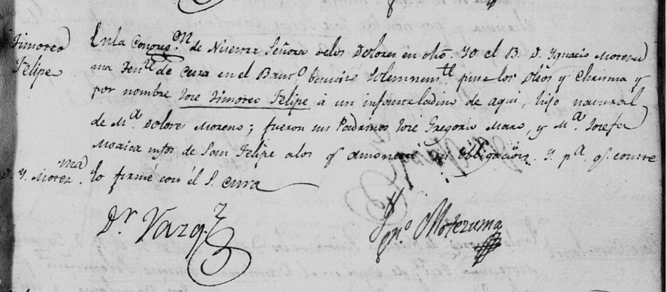 Tracing Indigenous Guanajuato Roots: A Lineage Report — Indigenous Mexico