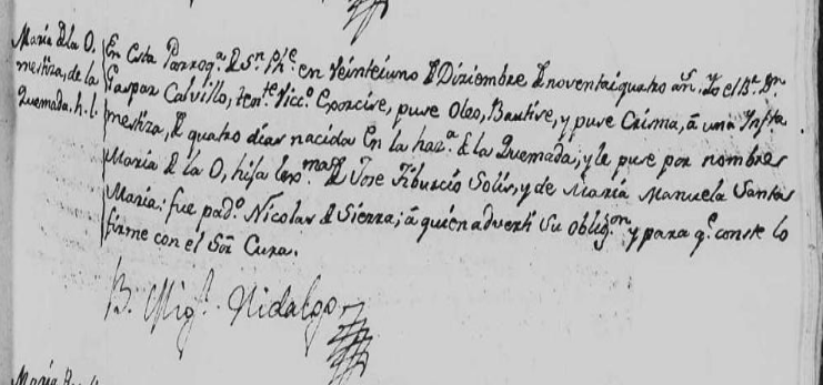 Tracing Indigenous Guanajuato Roots: A Lineage Report — Indigenous Mexico