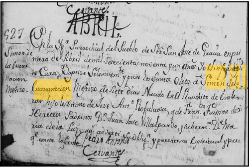 The Ruvalcaba Lineage Report — Indigenous Mexico