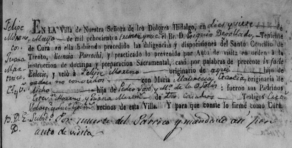 Tracing Indigenous Guanajuato Roots: A Lineage Report — Indigenous Mexico