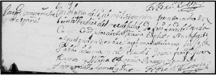 The Surname Ledesma in Mexico — Indigenous Mexico