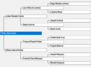 Tracing Indigenous Guanajuato Roots: A Lineage Report — Indigenous Mexico