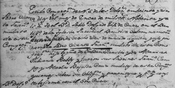 Tracing Indigenous Guanajuato Roots: A Lineage Report — Indigenous Mexico