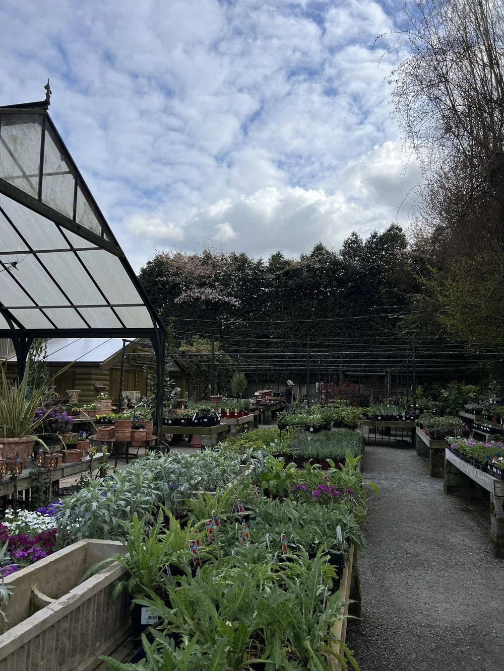 Southlands Nursery