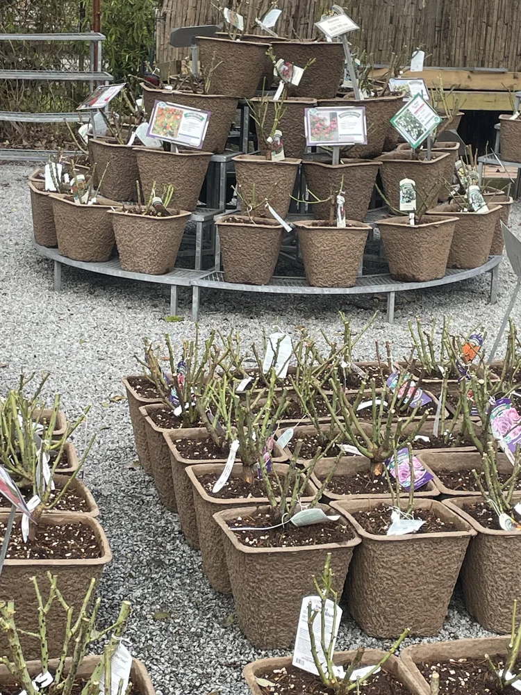 Southlands Nursery