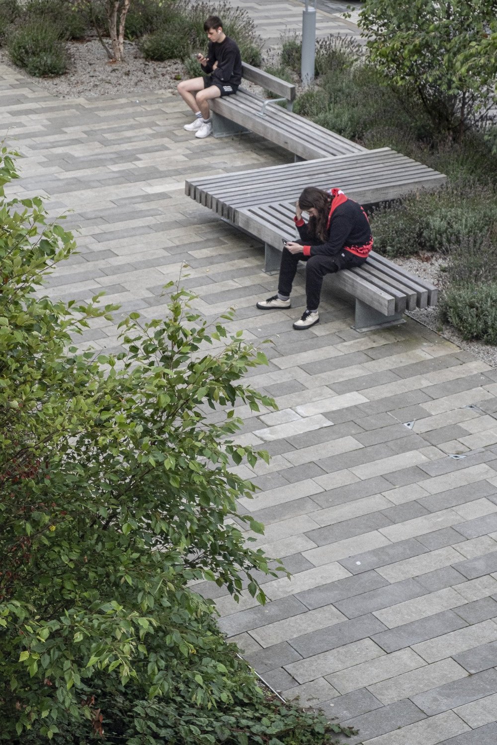 Forth Valley College Falkirk Campus — Reiach and Hall Architects