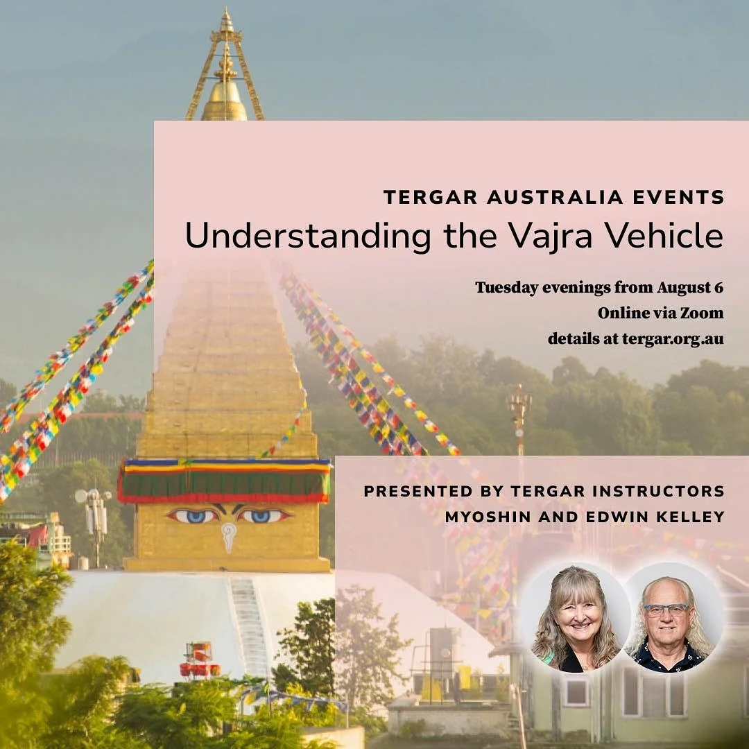 Understanding the Vajra Vehicle