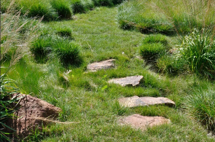 Top 10 Most Common Landscape Design Questions I get asked by everyone ...