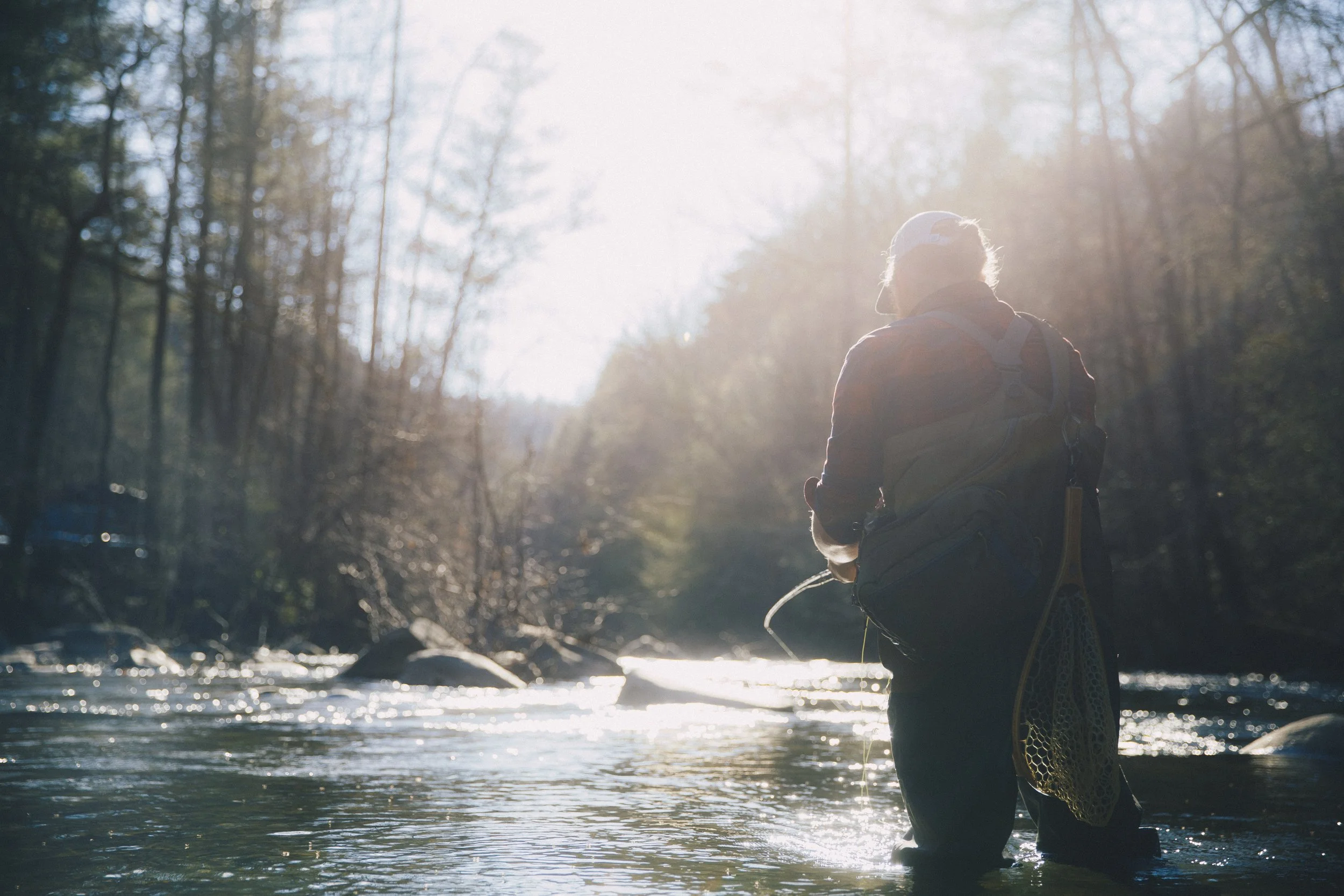 Best Trout Fishing Spots Near Blue Ridge, GA – Toccoa River Guide ...