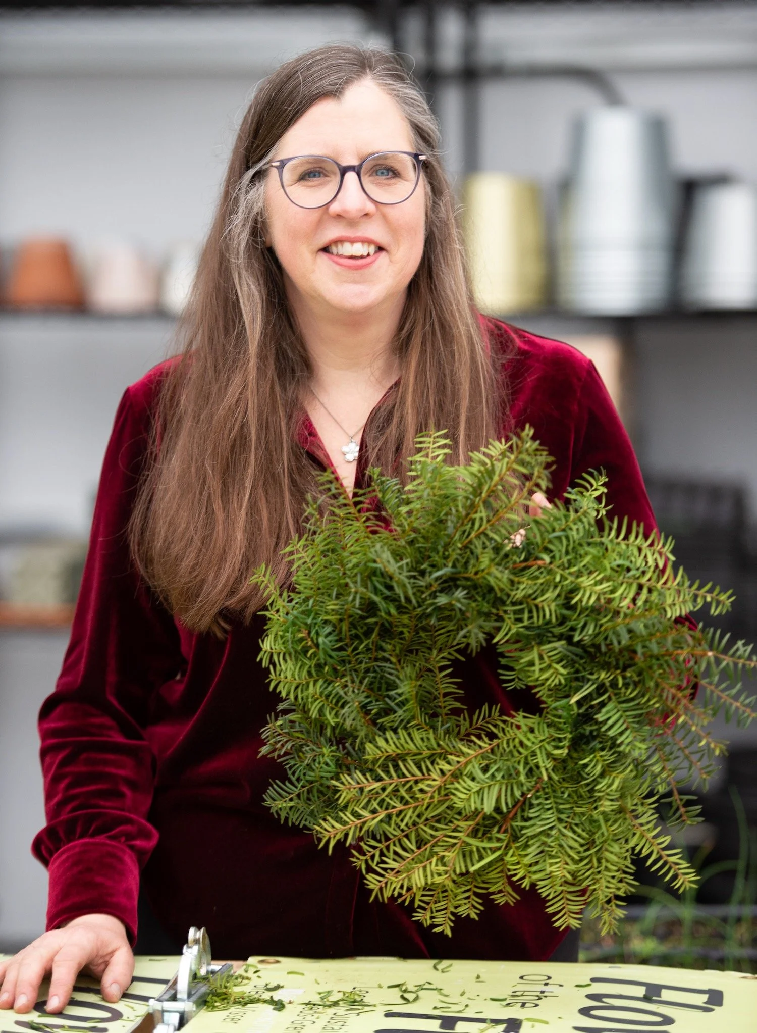 Flowers of the Field