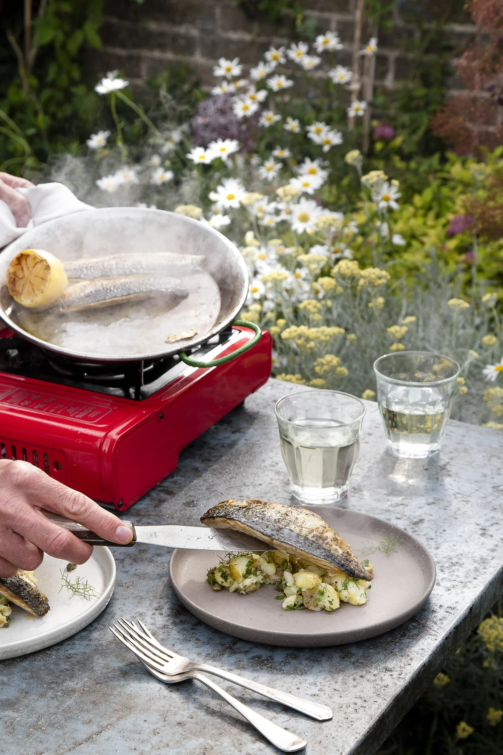 VAN LIFE COOKBOOK — Holly Farrier