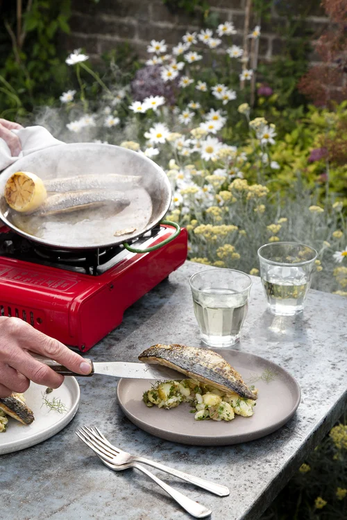VAN LIFE COOKBOOK — Holly Farrier