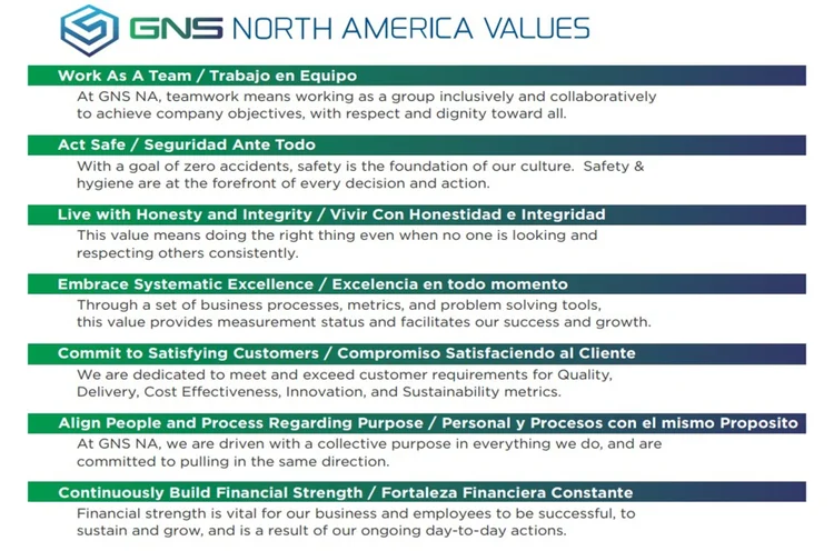 Vision/Values — GNS North America