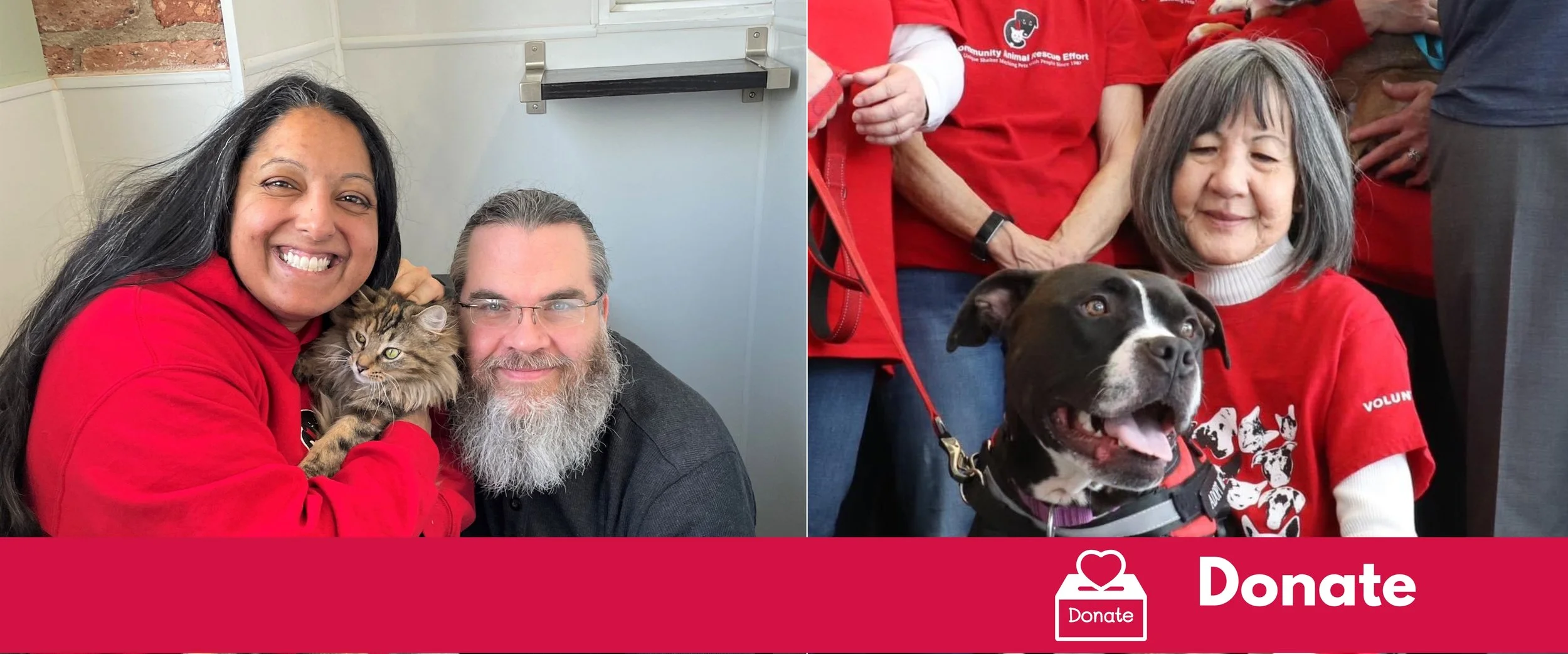 Community Animal Rescue Effort