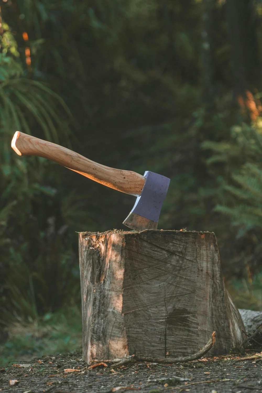 Small Axe Law Cooperative