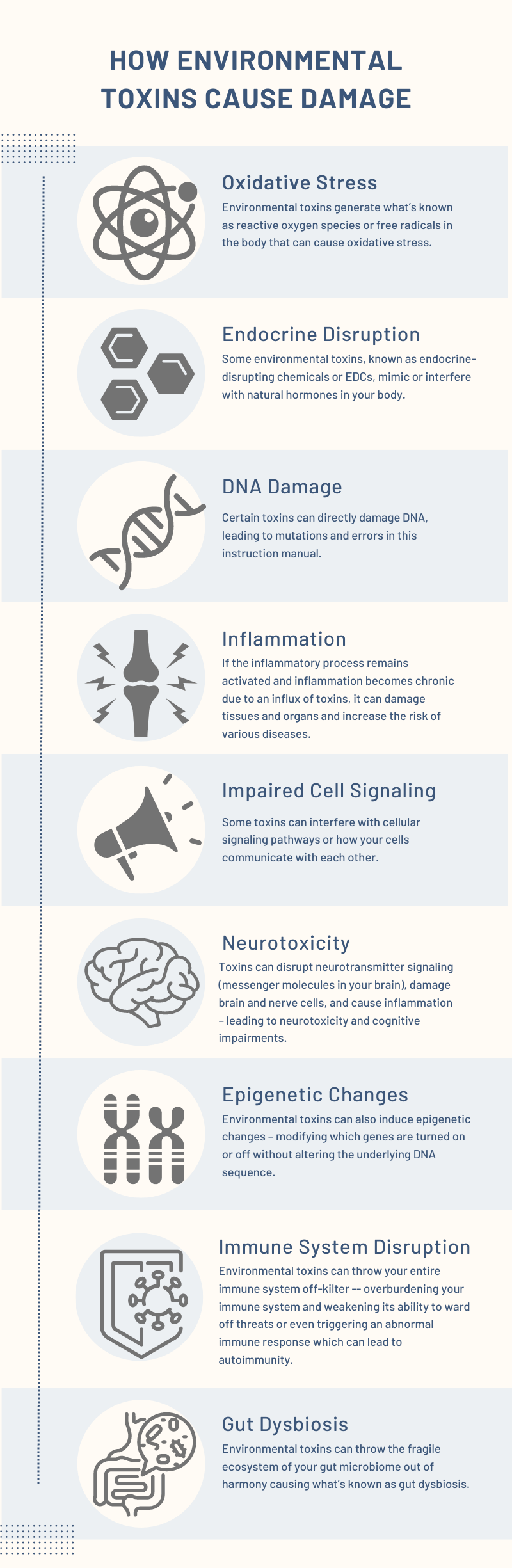Environmental Toxins 101: What Are They and Where Do They Come From ...