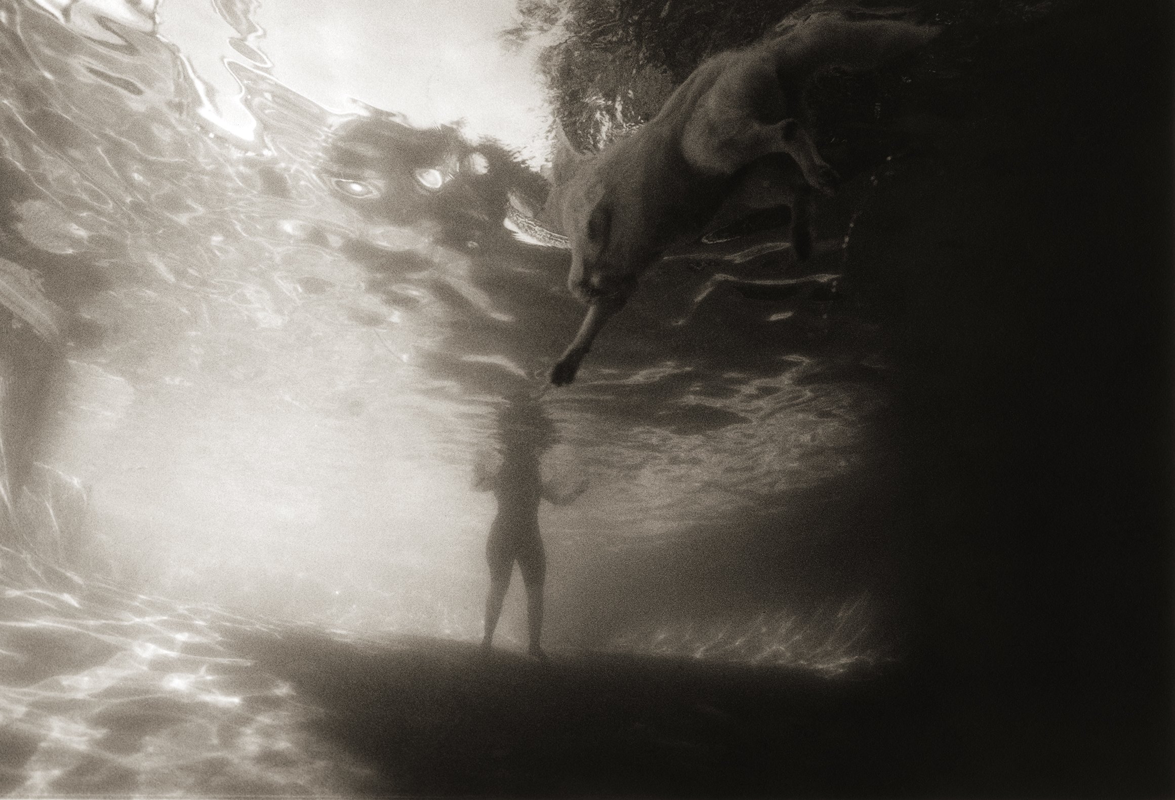 Exhibition: Dog Days of Summer — Center for Photographic Art