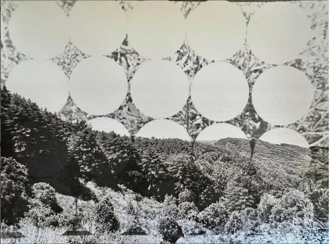 Online Artist’s Talk: Beatrice Thornton, Sustainable Darkroom Practice ...