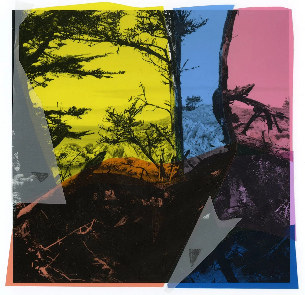 The Paula Riff Award — Center for Photographic Art