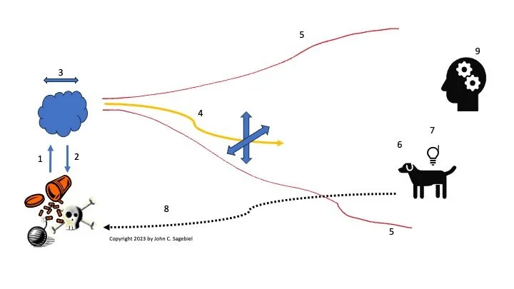 Detector Dog Process — John C. Sagebiel, Ph.D.