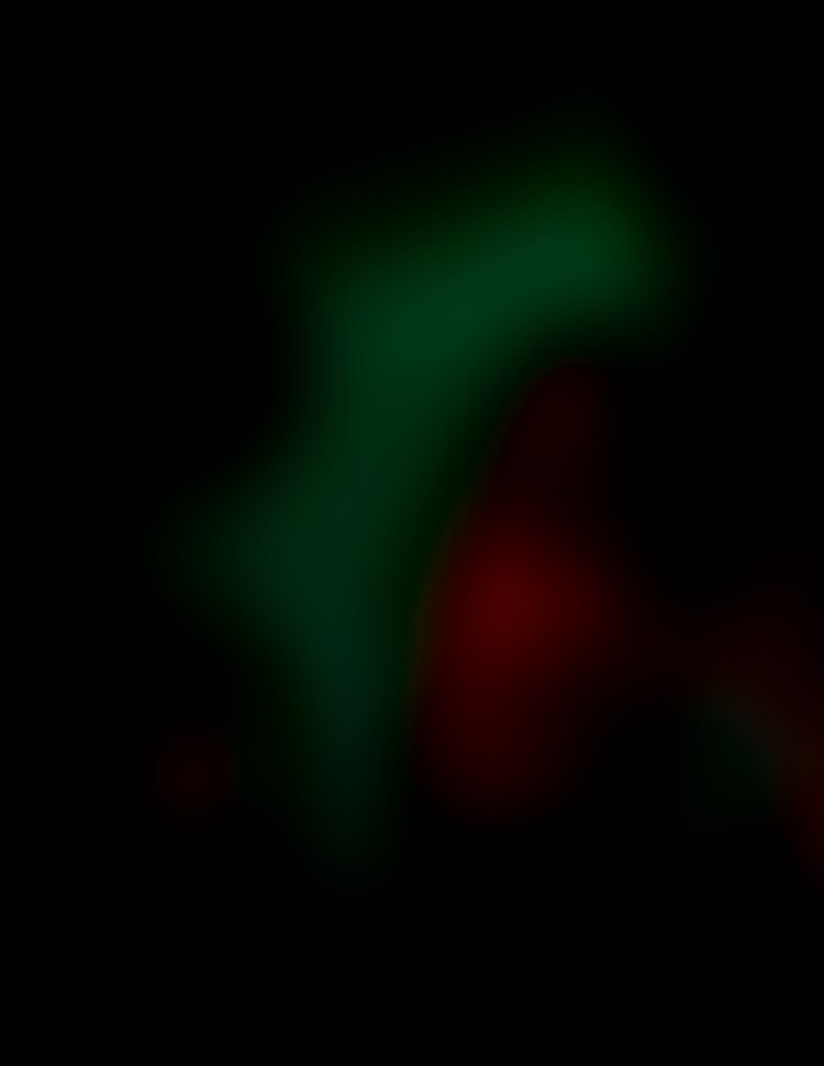 About the PI — The Srivastava Lab at Texas Tech