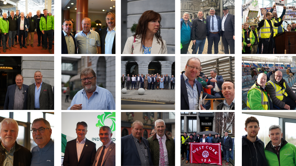 Independent Ireland