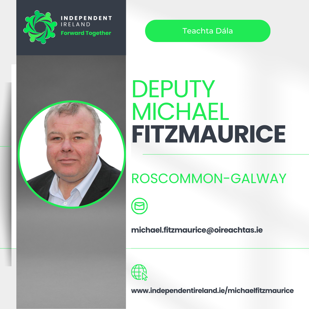 Michael Fitzmaurice — Independent Ireland