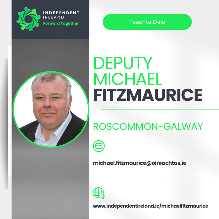 Michael Fitzmaurice — Independent Ireland