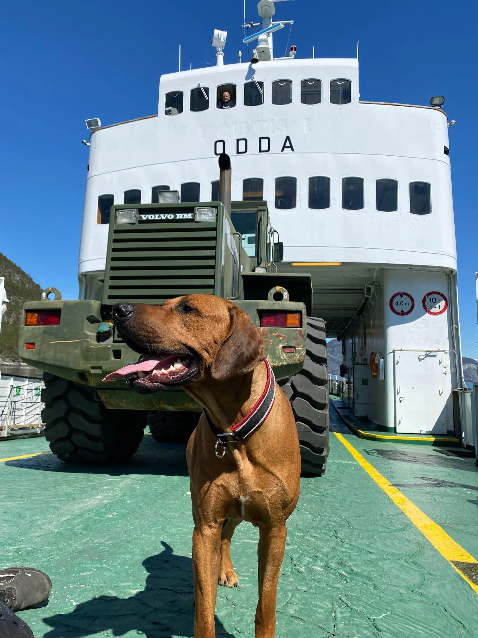 Kaupanger-Frønningen — Lustrabaatane AS