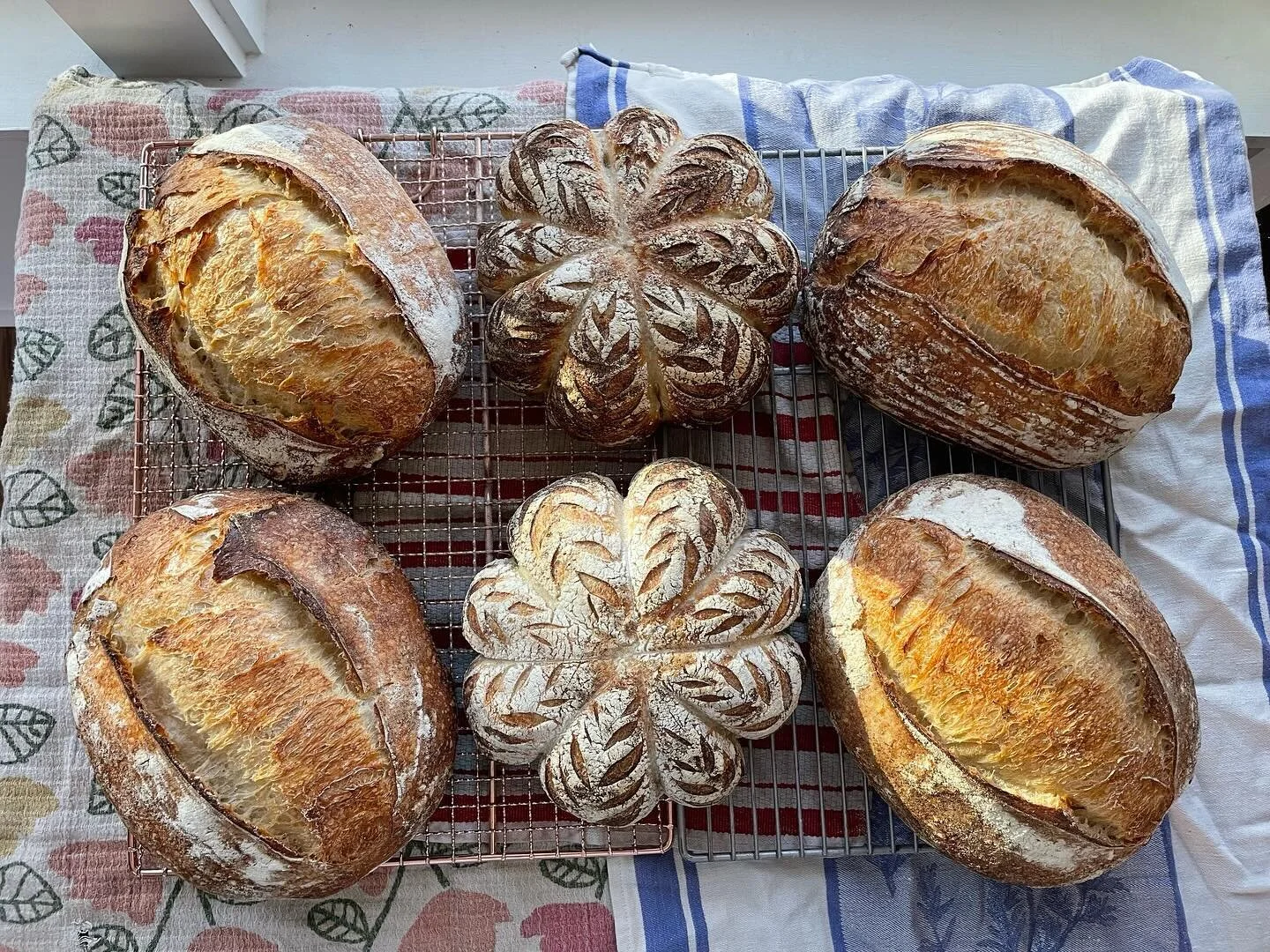 armourhillsbakery, Sourdough 170 years in the making