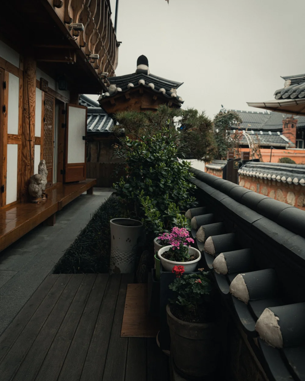 The Halfie Project The Mixed Korean Experience