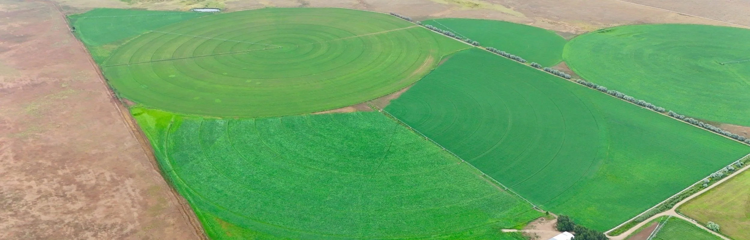 Open Range Hay | Florida