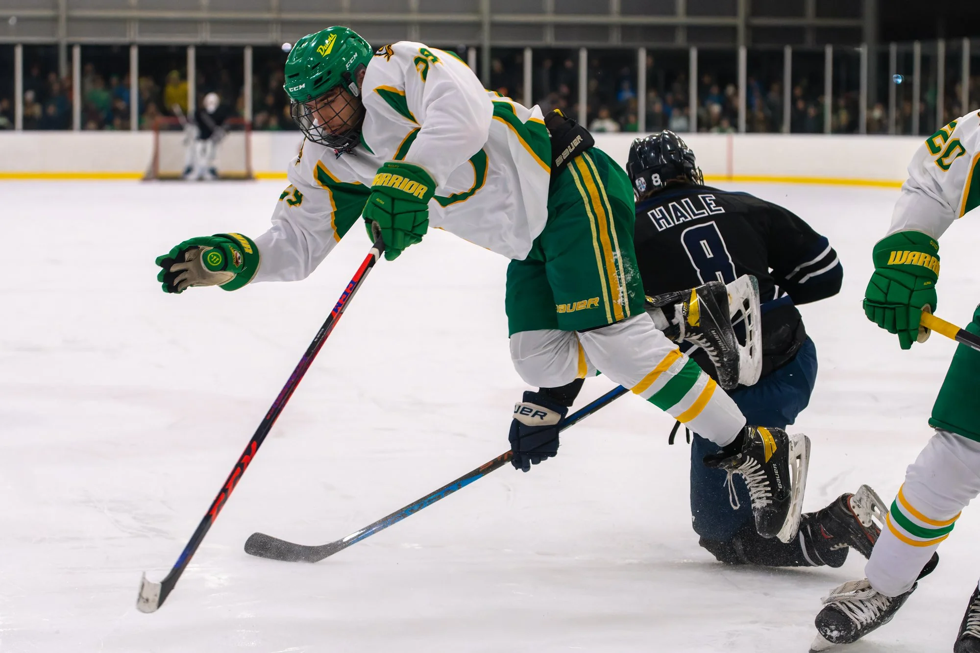OREGON DUCKS HOCKEY