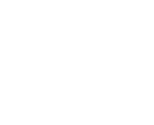 AlphaMotocrossDynamics | Join the Race