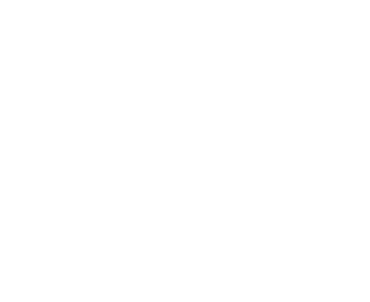 AlphaMotocrossDynamics | Join the Race
