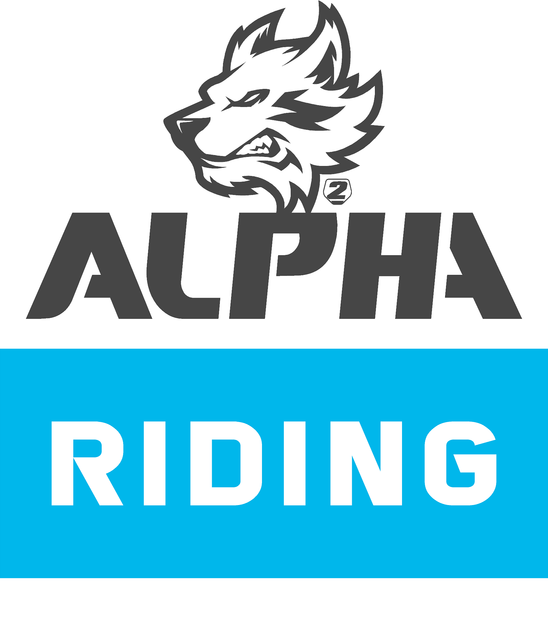 AlphaMotocrossDynamics | Join the Race