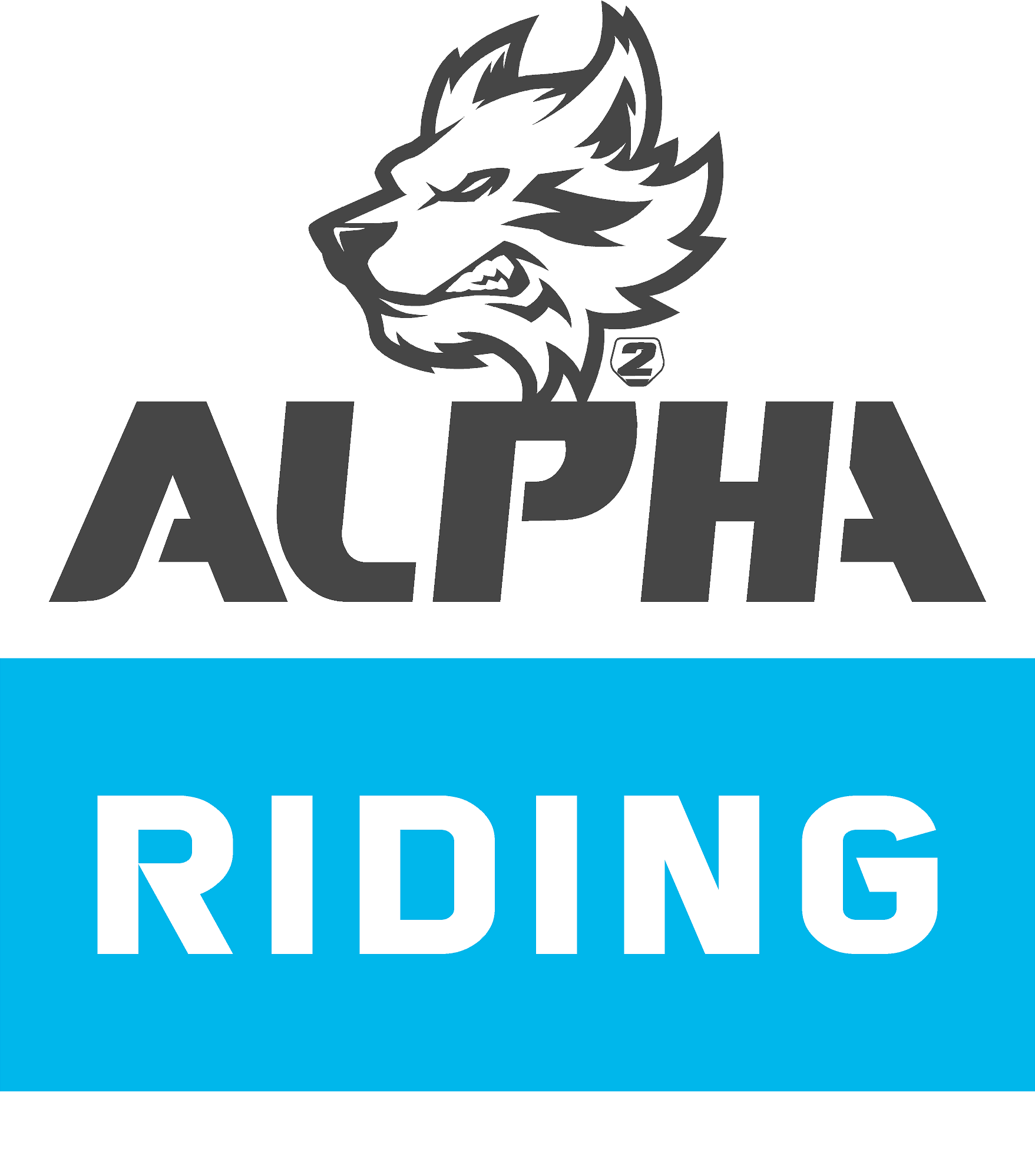 AlphaMotocrossDynamics | Join the Race
