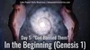 “God Blessed Them” (In the Beginning (Genesis 1) — Luke Powell Ministries