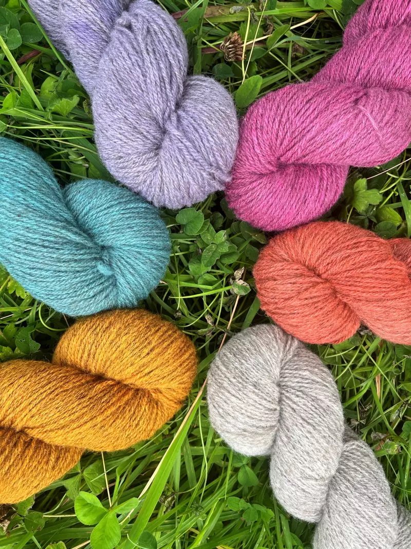 Vendors 2026 — Woolly Good